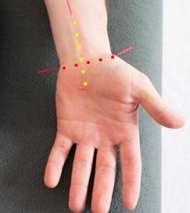 Specialist osteopaths and qualified lecturers. OMT Training Courses.